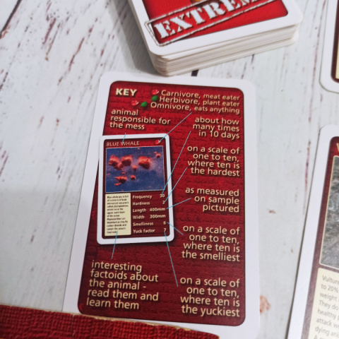 PLOP trumps Extreme > Edu Pszczółka